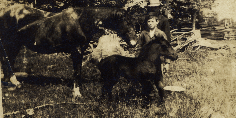 WWI Sacrifice - Private Ellwyne Ballantyne - Glencoe & District ...