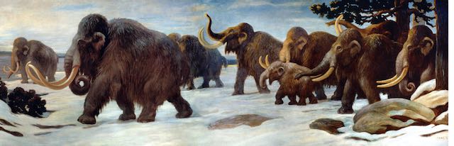 Glencoe & District Historical Society